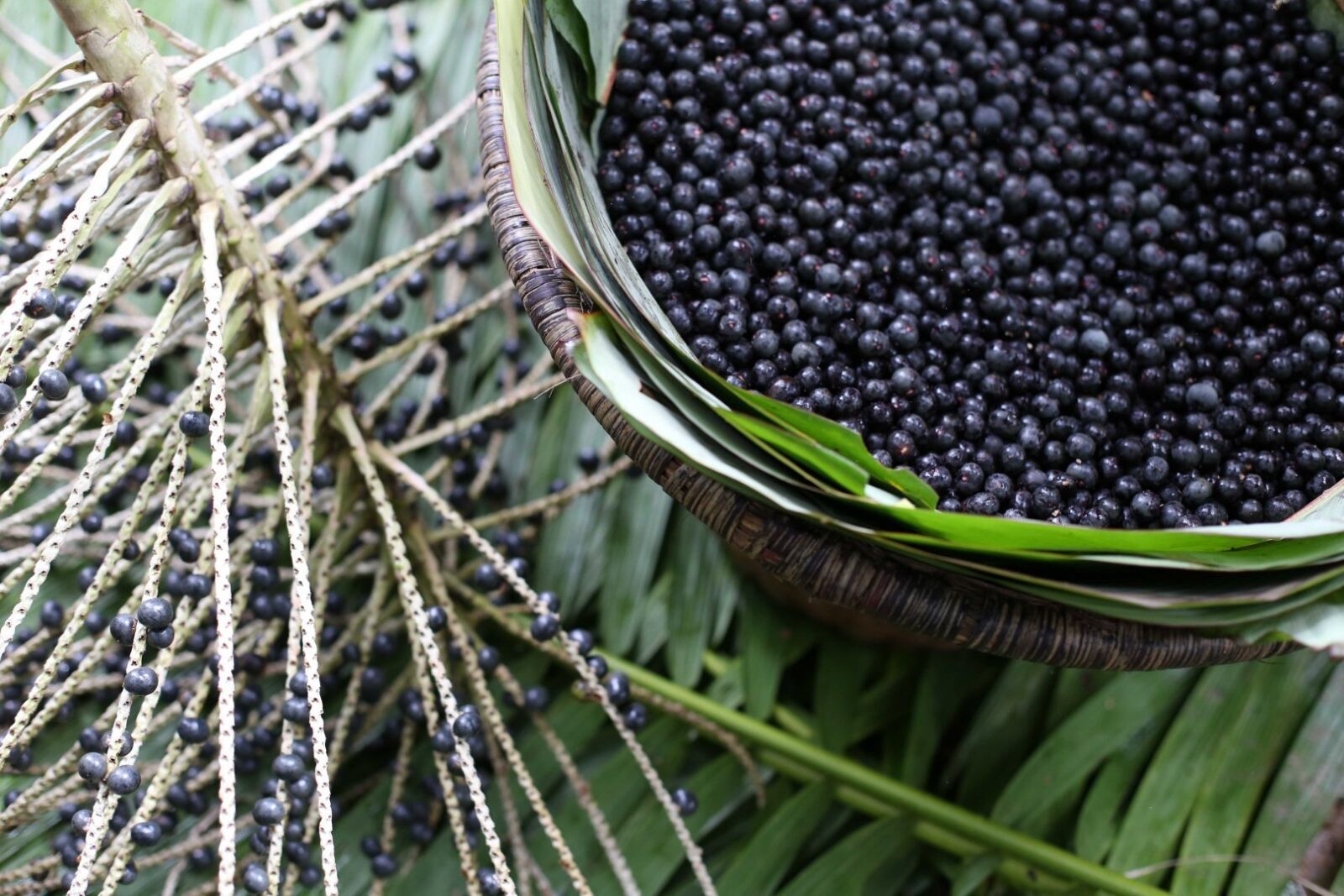 Chapa Mista Paraense com Açaí - Pará - Receitas - Fartura Brasil